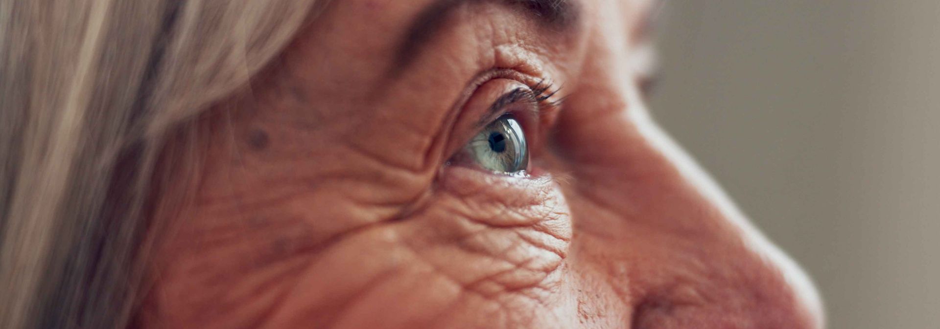 New NIH-Funded Project Targets Early Drivers of Vision Loss in Macular ...