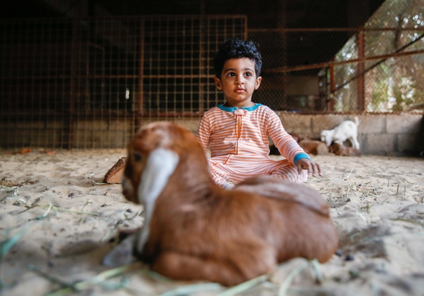 Free Online Courses at UCLA Extension | UCLA Extension