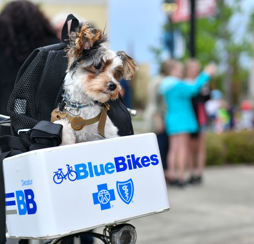 Healthy Communities | The Caring Foundation & Corporate Giving | BCBSAL