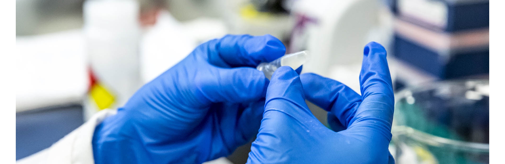 Quelling Brain Tsunamis | UNM HSC Newsroom