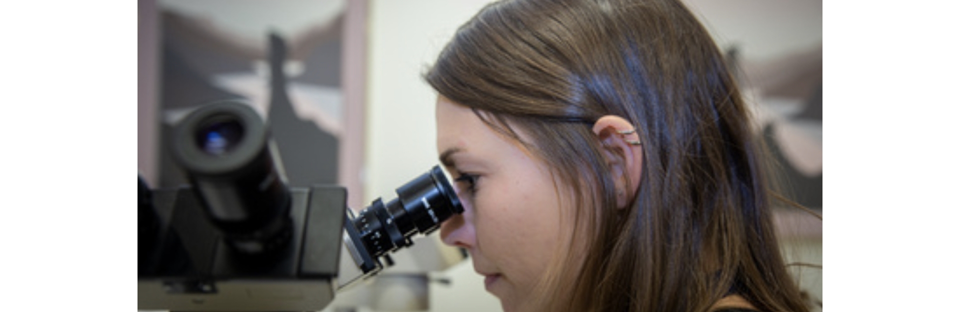 UNM Forensic Behavioral Sciences Division prepares experts for the ...