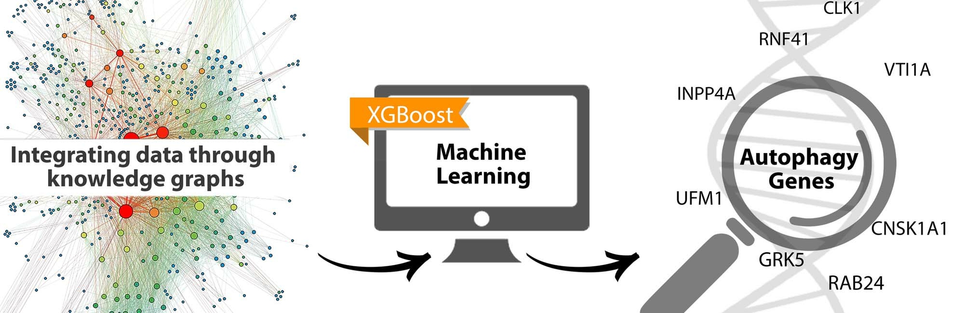 Machine Learning Discovers Previously Unknown Genes in New UNM-Led ...