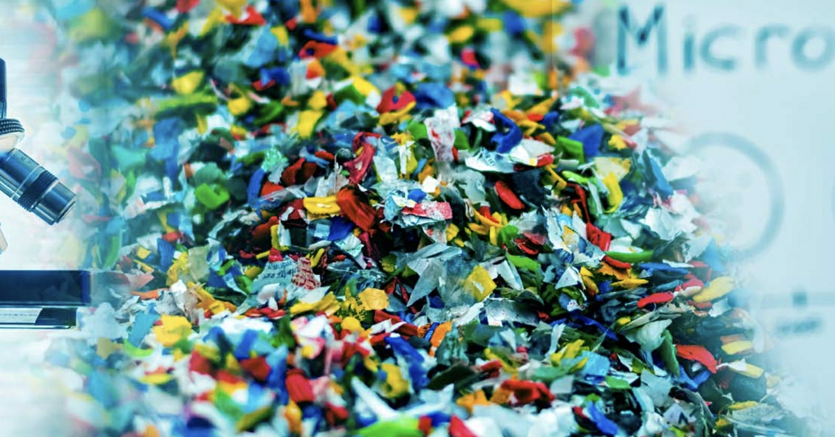 Microplastics Make Their Way from the Gut to Other Organs, UNM ...