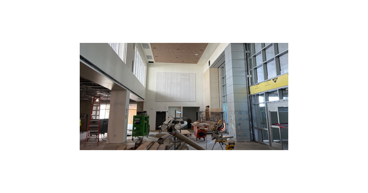 UNM Hospital Critical Care Tower Update: Adult Emergency Department ...