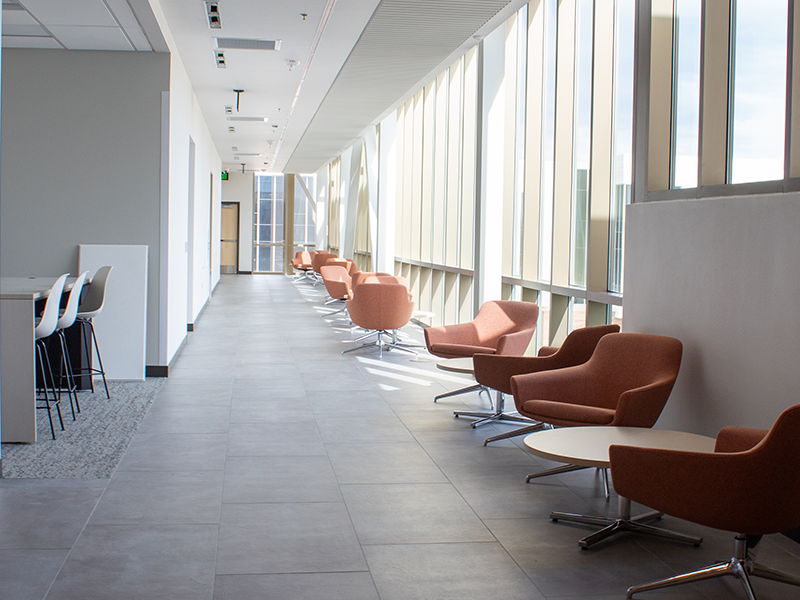 Opening Doors for the Future: New UNM College of Nursing & Public ...