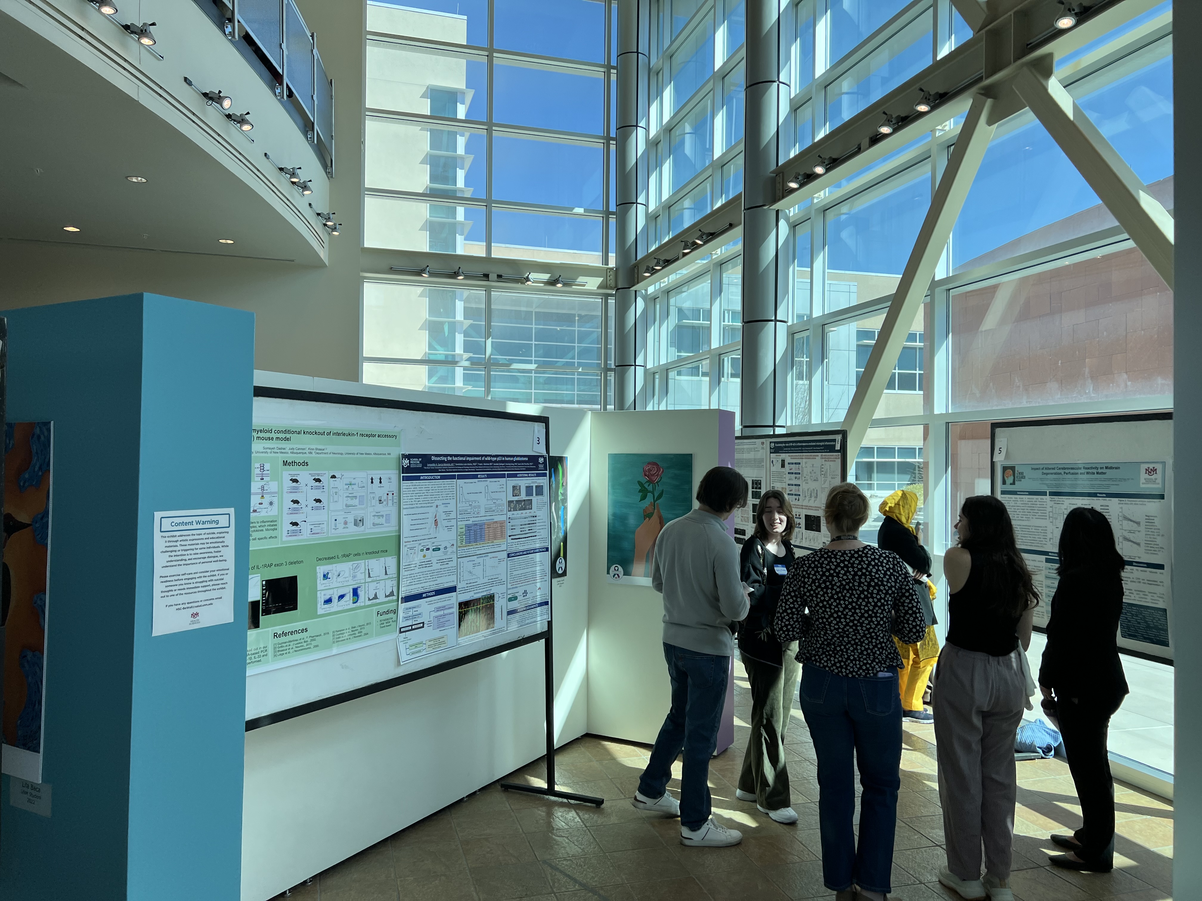 UNM Research Teams Focused on Child Brain Development | UNM HSC Newsroom