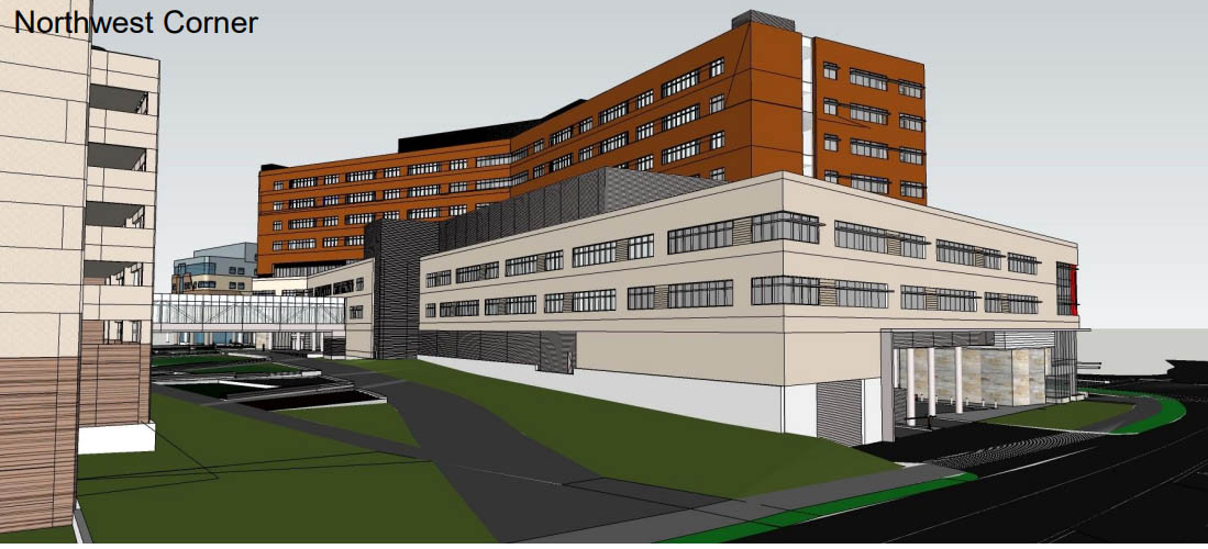 Growing Higher | UNM HSC Newsroom