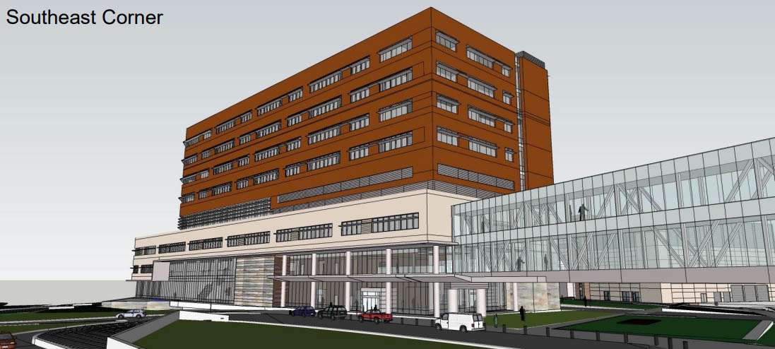 Growing Higher | UNM HSC Newsroom