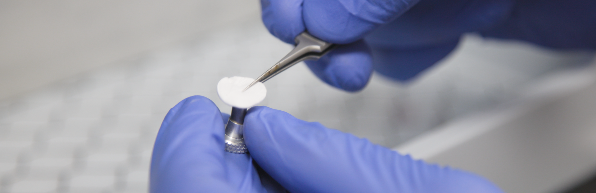 UNM Scientist Devises New Way to Identify Microplastics in Brain Tissue ...