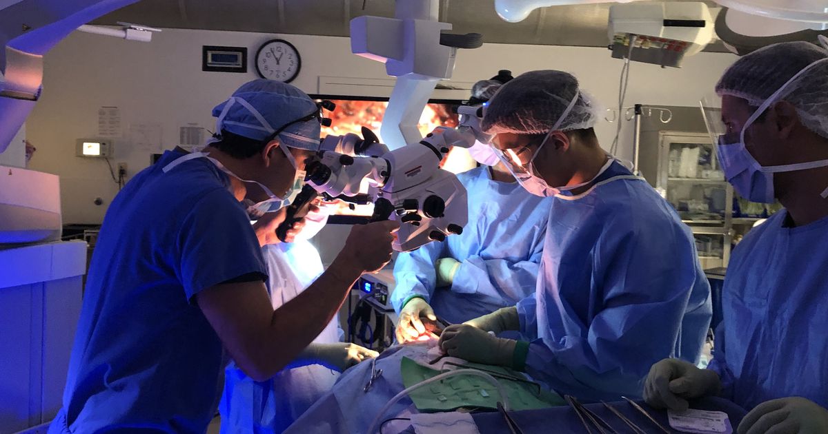 UNM Physician Tests Drug That Causes Nerve Tissue to Emit Light ...