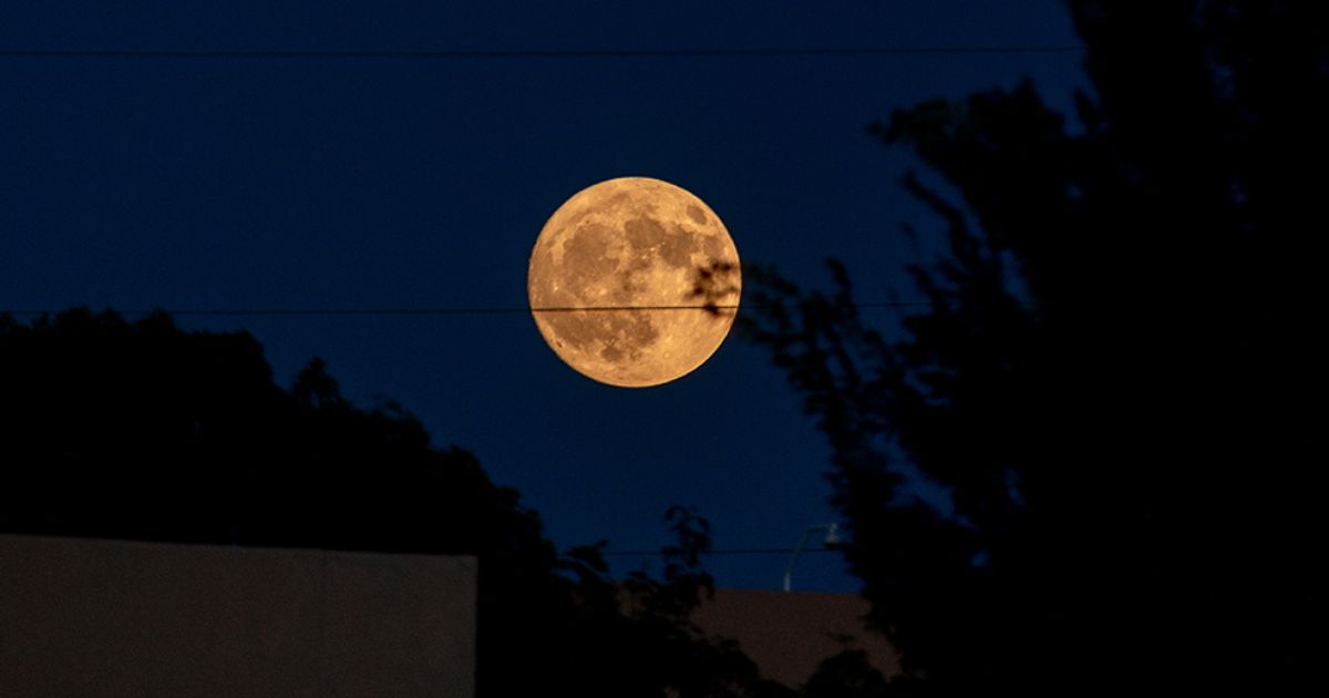 UNM Researcher Studies How Night Shift Work and Artificial Light Affect ...