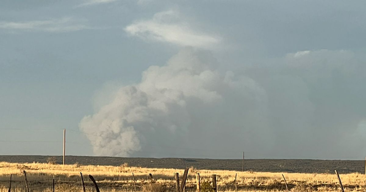 UNM Researchers Link Heavy Wildfire Smoke Exposure to Poorer Mental ...