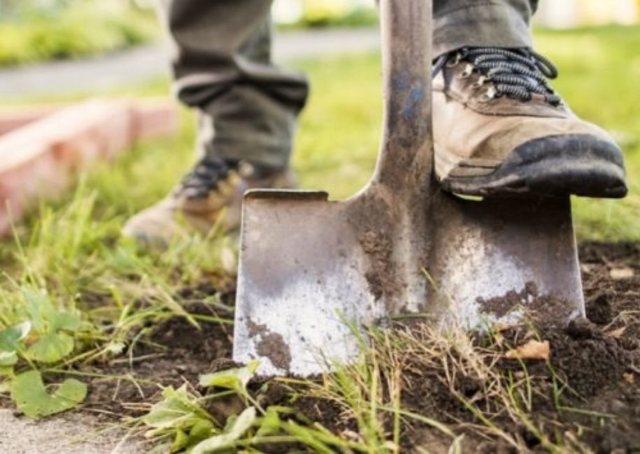 Stay safe while gardening and landscaping: Call 8-1-1 before you dig ...