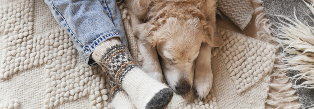 Your guide to staying safe and warm this winter | Xcel Energy Stories