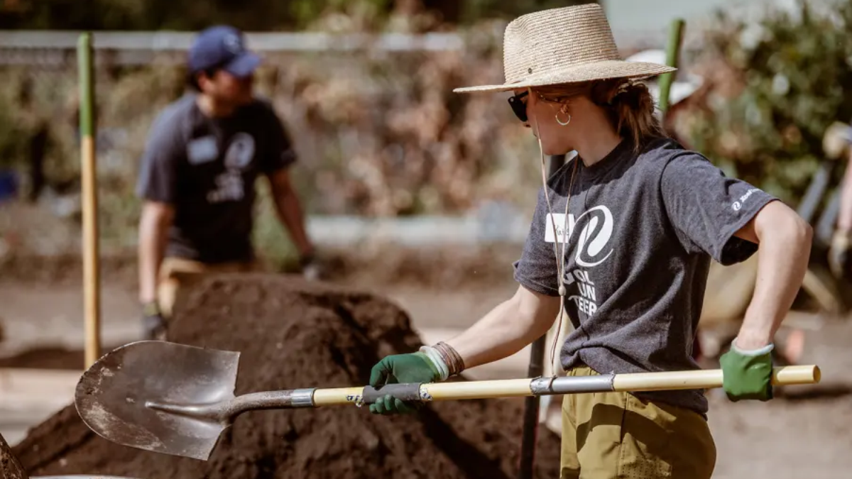 A look back at Xcel Energy’s 2024 giving and volunteering efforts ...