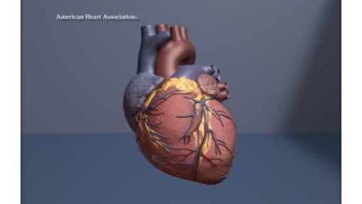 Heart Association Animations | American Heart Association