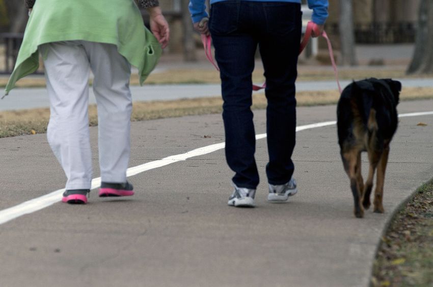 Actividad física ligera reduce riesgo de muerte en síndrome ...