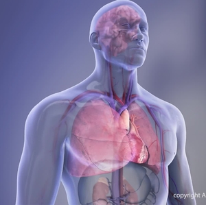 Animation/Video | American Heart Association