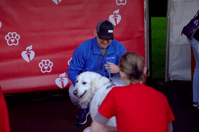 Video | 2023 Puget Sound Heart and Stroke Walk b-roll footage two ...