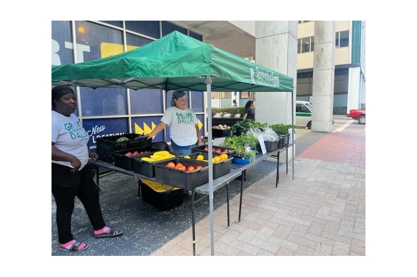 Fresh pop-up produce market along Dallas public transit in October ...