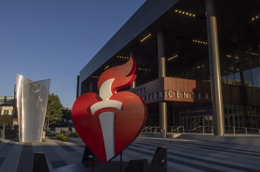 Photo | Heart and torch welcomes SS25 attendees | American Heart ...