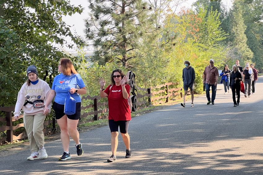 Photo | A group of Washington Heart and Stroke Walk participants on ...