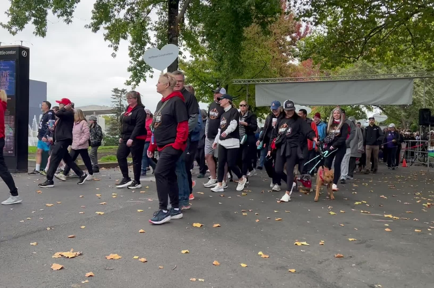 Video | 2025 WA Heart and Stroke Walk Seattle participants depart ...